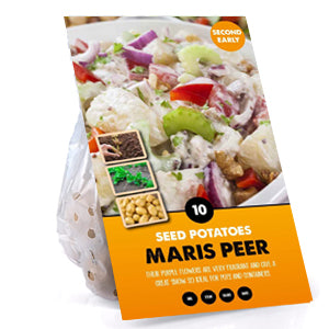10 Pack of Maris Peer Seed Potato Second Early – Muddy Hands