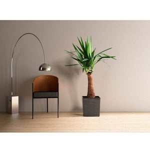 Mocha Chisel Plant Pot – Muddy Hands